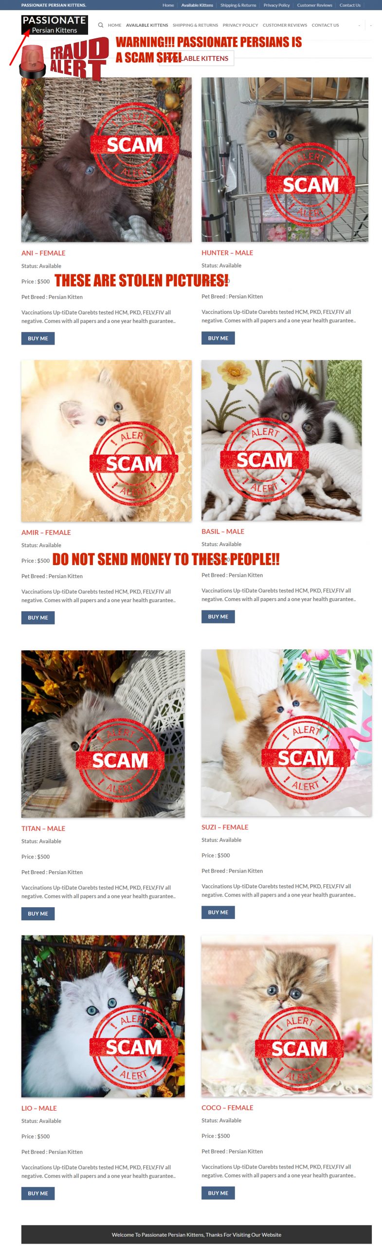 Online scammers - Internet Safety - Buyer Beware - Online ...
