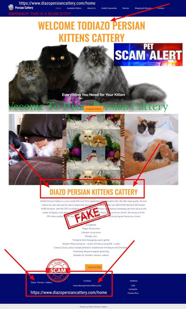 Online scammers - Internet Safety - Buyer Beware - Online ...