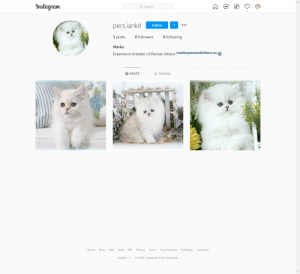 Online scammers - Internet Safety - Buyer Beware - Online ...